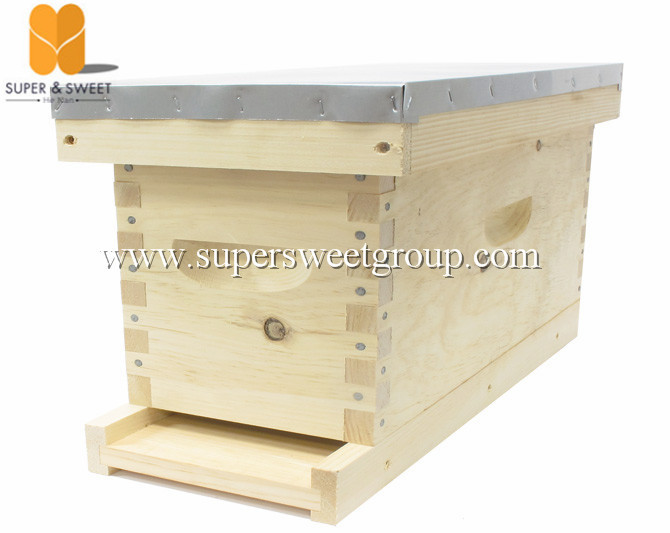 China Beekeeping Beehive Equipment - Wood NUC Bee Box - Corrugated pp ...
