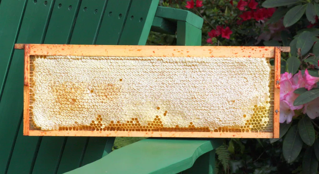 Premium Raw Edible Square Beehive Honey Comb Natural Unfiltered Pure ...