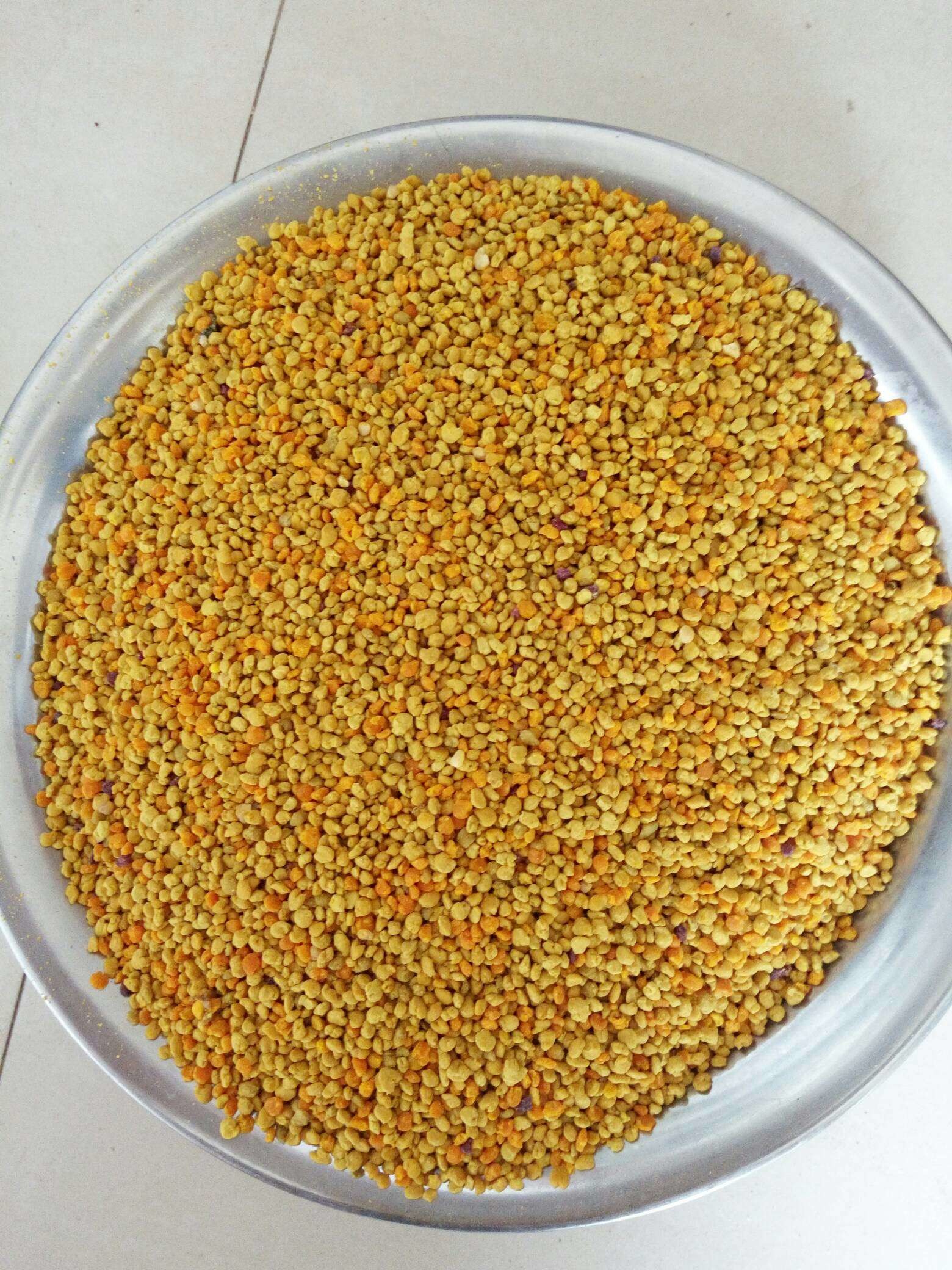 2021 Harvest ISO Certified high protein Chinese feeding bees pollen bee ...