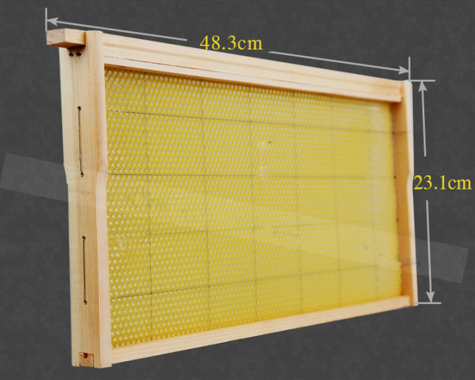 Beekeeping Plastic hive Frame removable plastic beehive frame