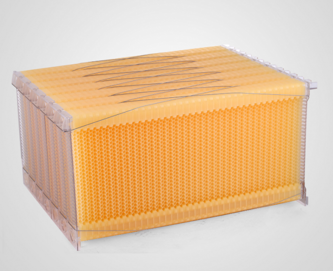 Beekeeping Auto Flow Honey Hive Beehive Frames 7PCs Flow Hive Frame ...